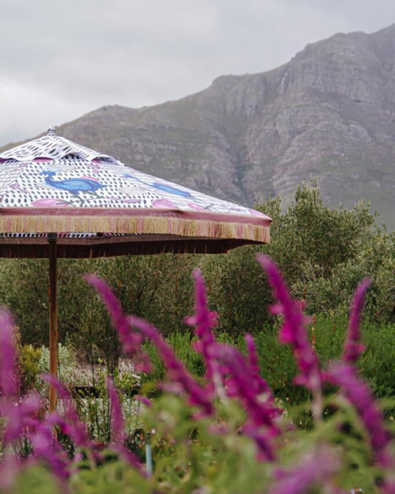 Branding – Cape Umbrellas SA